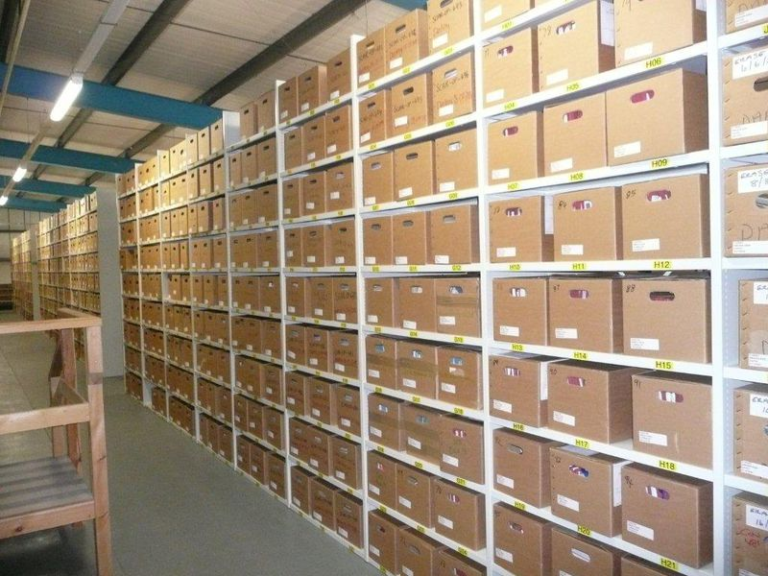 Advantages of Using File Archiving Software - Global Retail Show